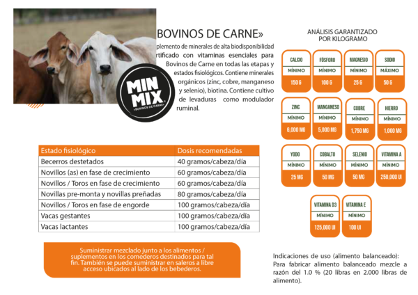 Min Mix – Bovinos de Carne – Sanut